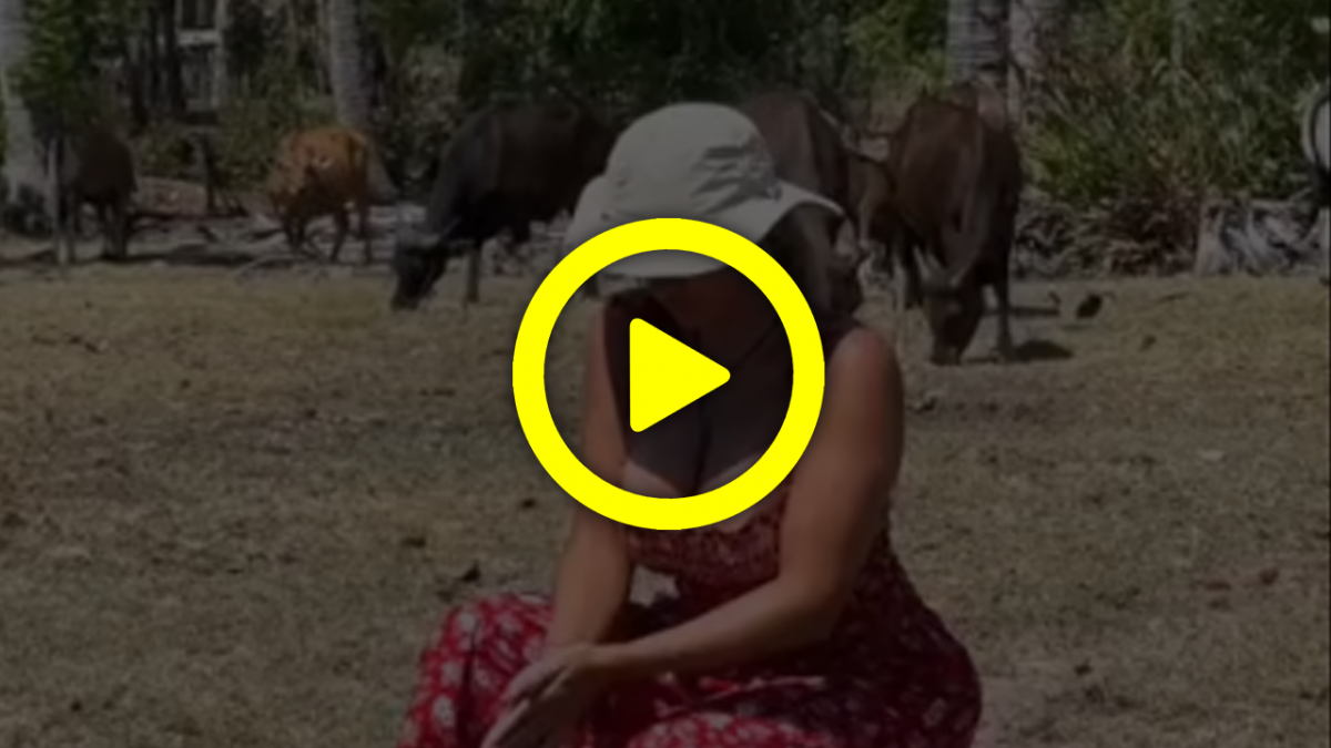 When Simplicity Becomes a Secret Superpower